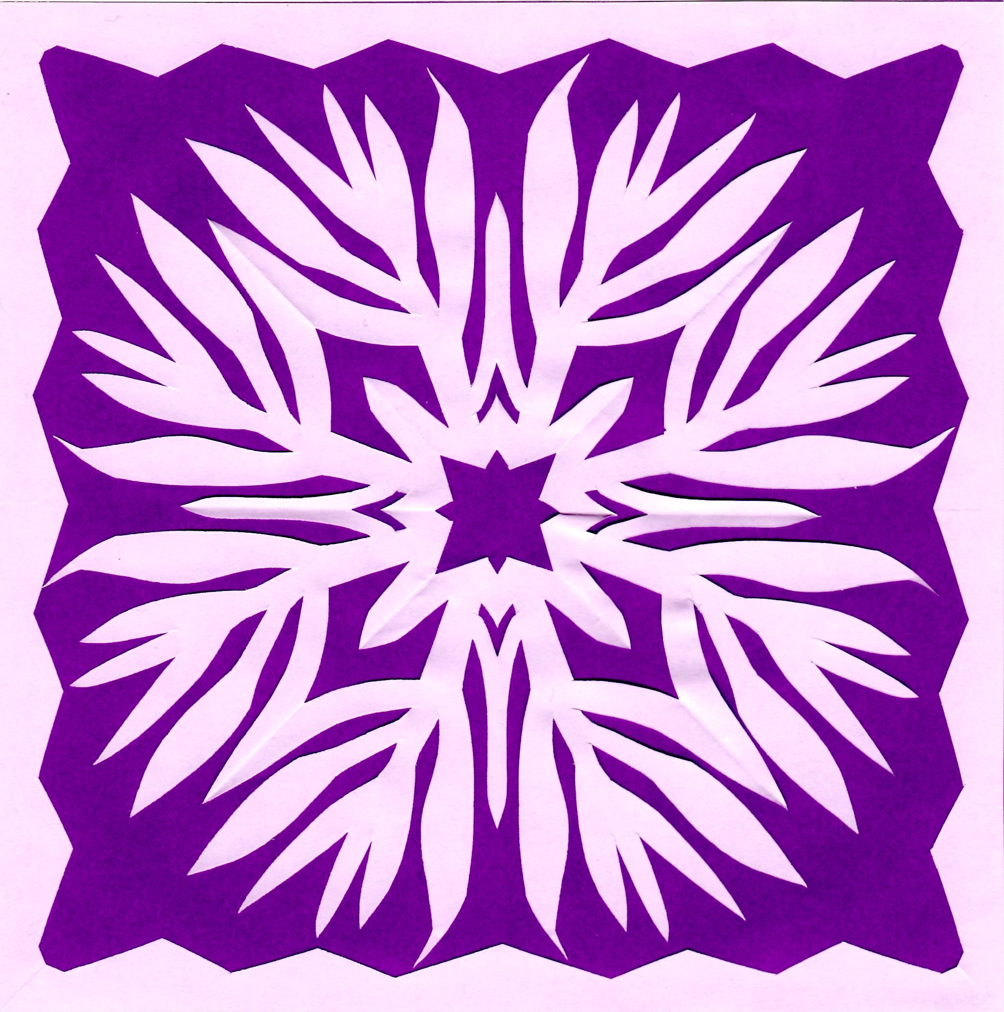 Ti-leaf plant: Purple and pink Ti-leaf pattern